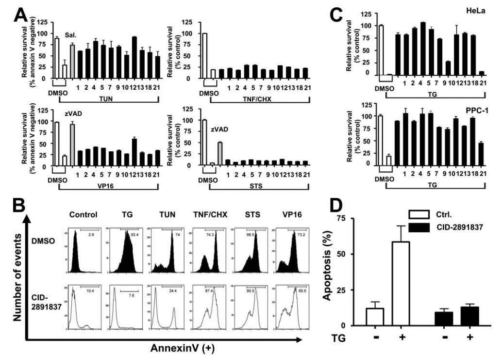 ChemBridge compound library screening reveals a new endogenous ...