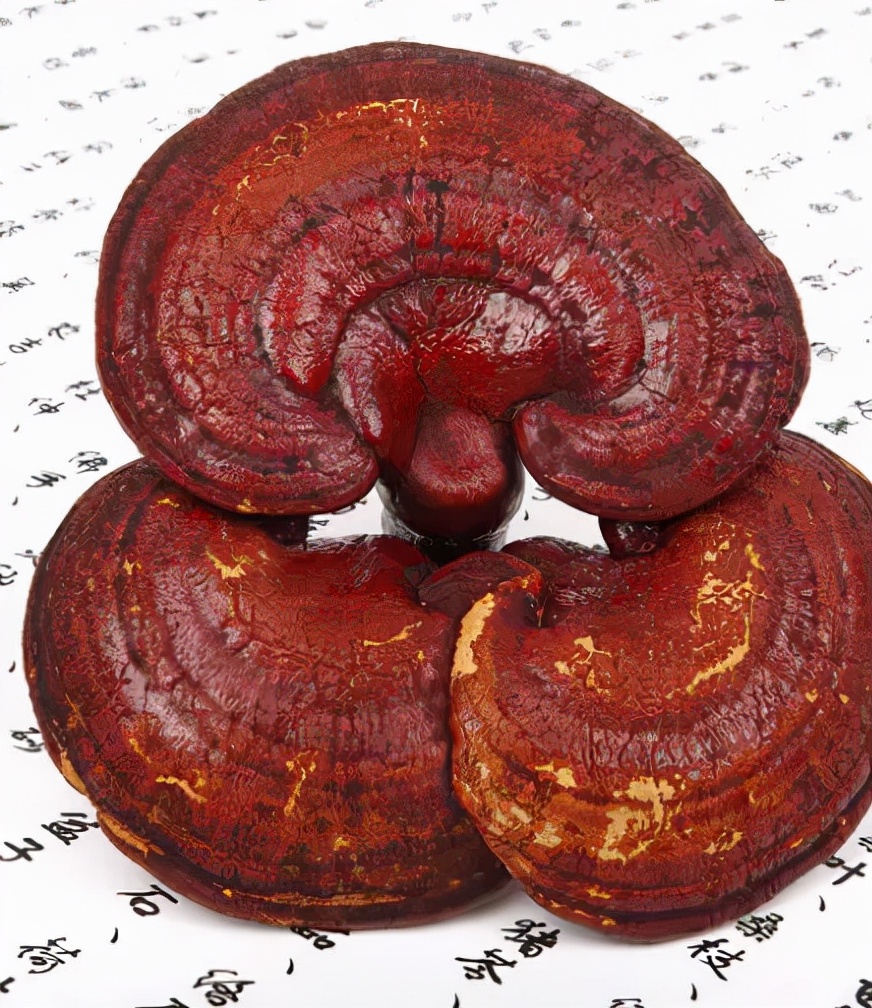 Is it cold and easy to get sick?This "Xiancao" can help you nourish the ...