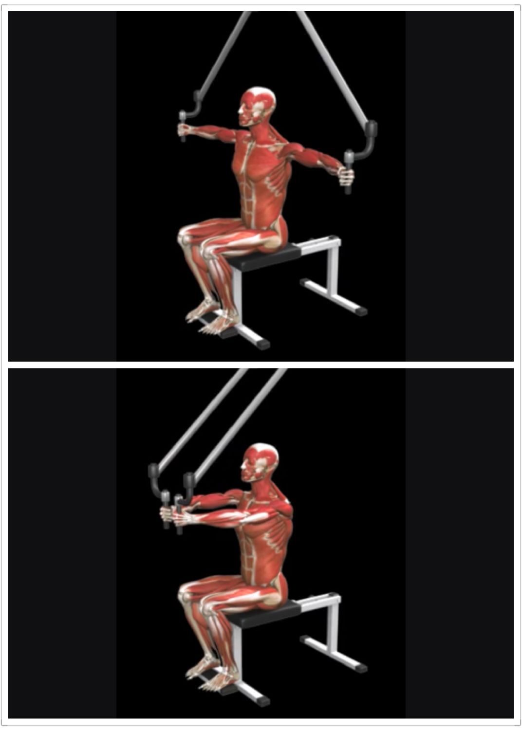 Fitness experience: how to develop the perfect chest muscles?Doing ...