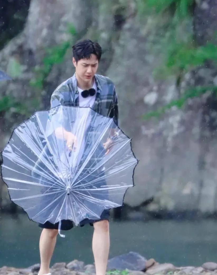 Wang Yibo recorded on 7.29 every day, after participating in the volunteer's cubs, cubs and milk ...