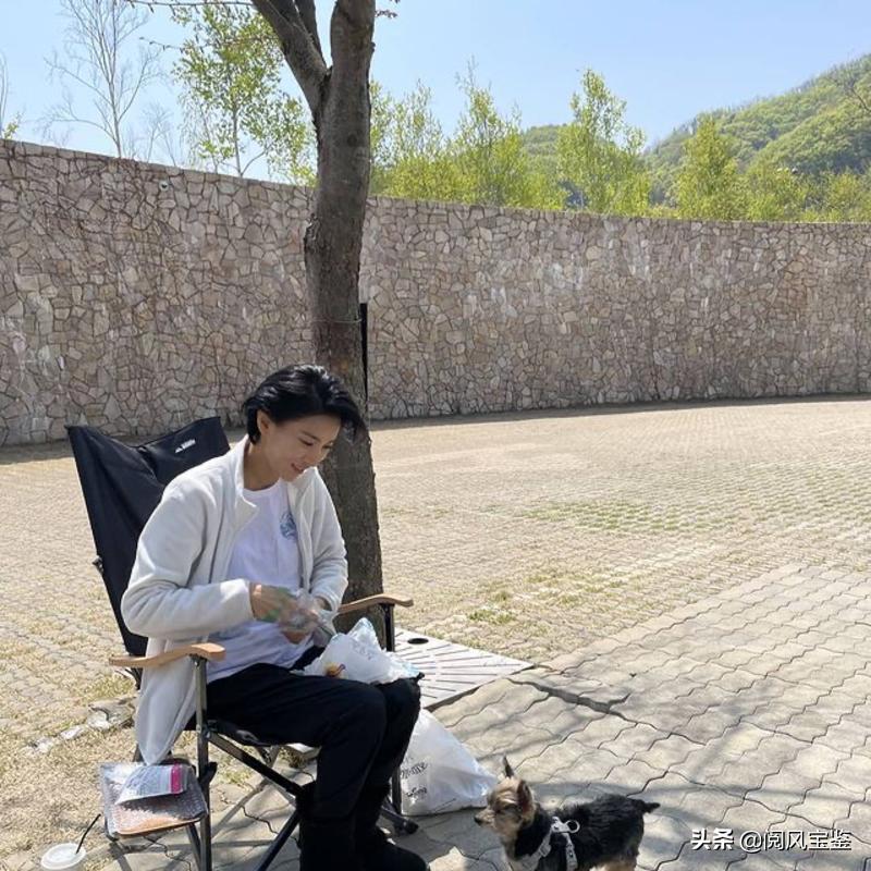 Jin Ruiheng: I would rather raise a bosom dog than marry a ruthless man ...