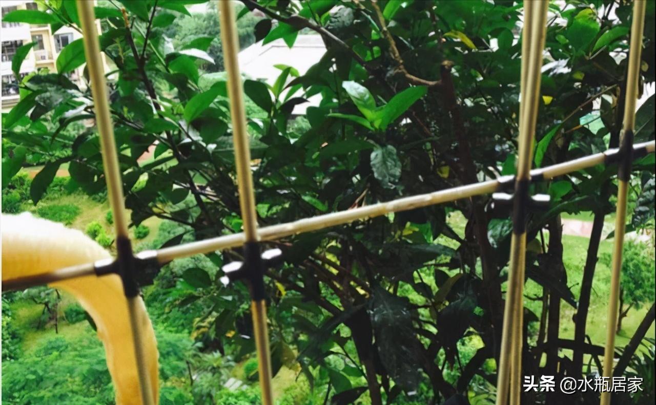 Is the invisible anti-theft net safe or not?What should be paid ...