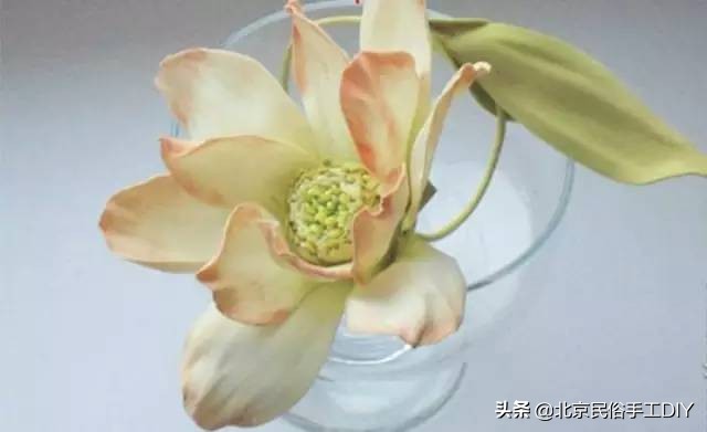 Teach you to use sponge paper to make a delicate handmade flower - iNEWS