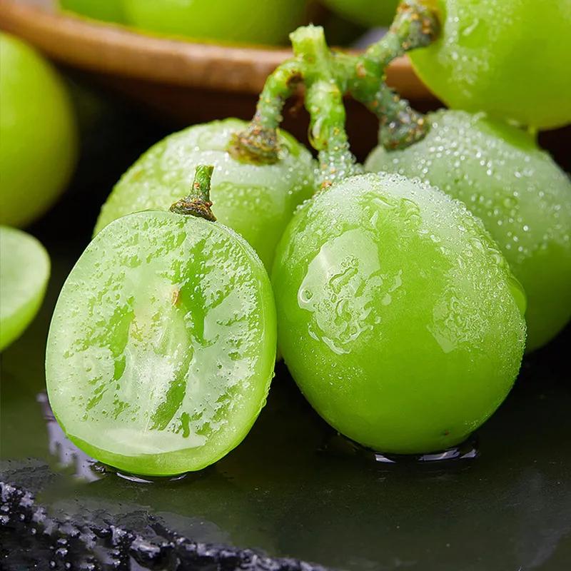 Sunshine rose grapes, the rose is fragrant, sweet but not greasy, you ...