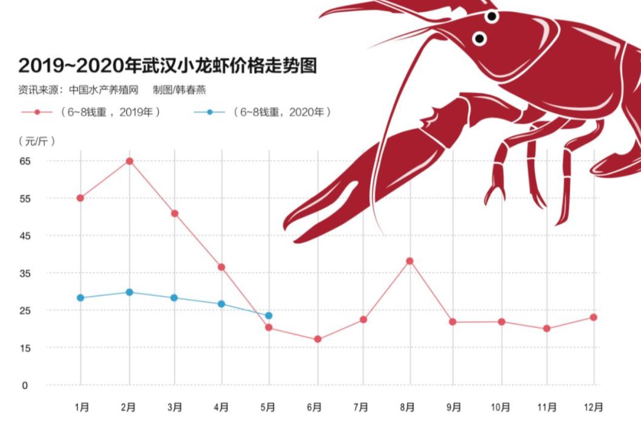 Be vigilant, crayfish spread to 19 provinces, and the human-to-shrimp ...