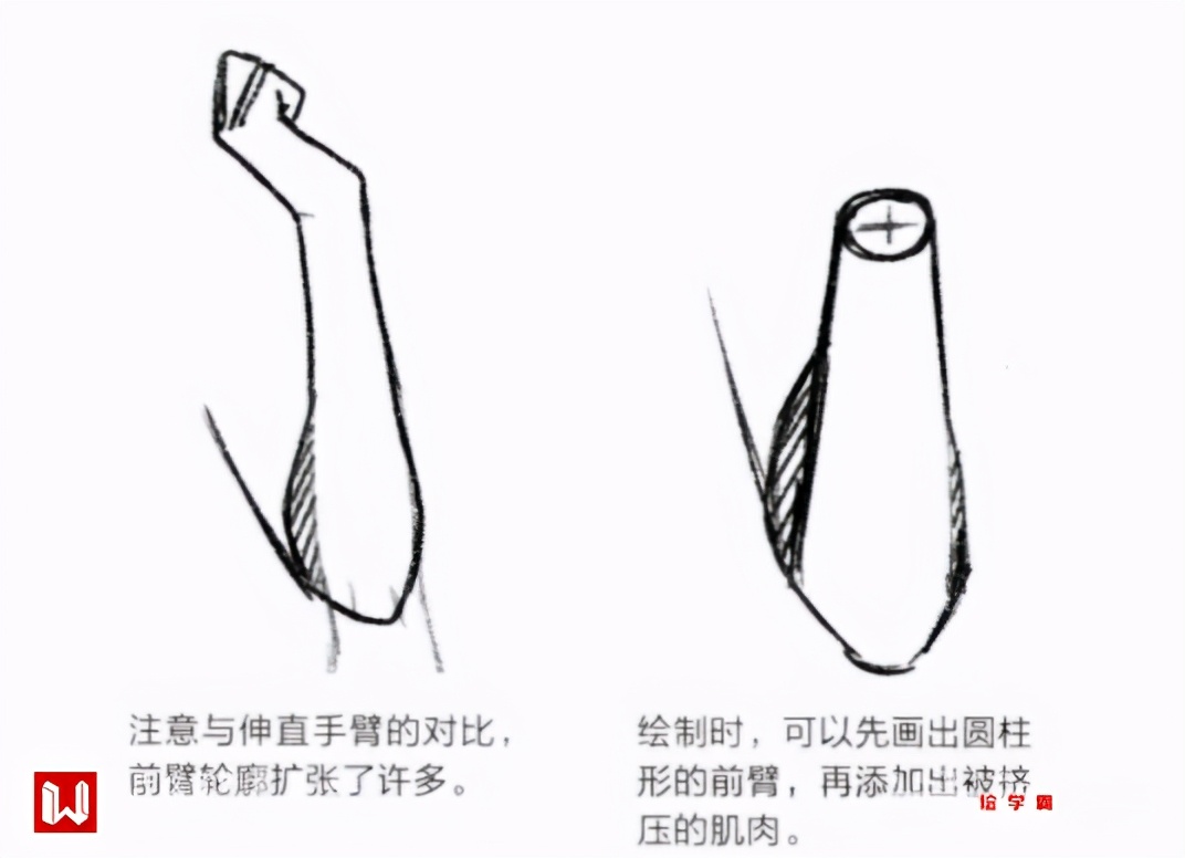 How to draw a curved arm?How to draw the raised arm? - iNEWS