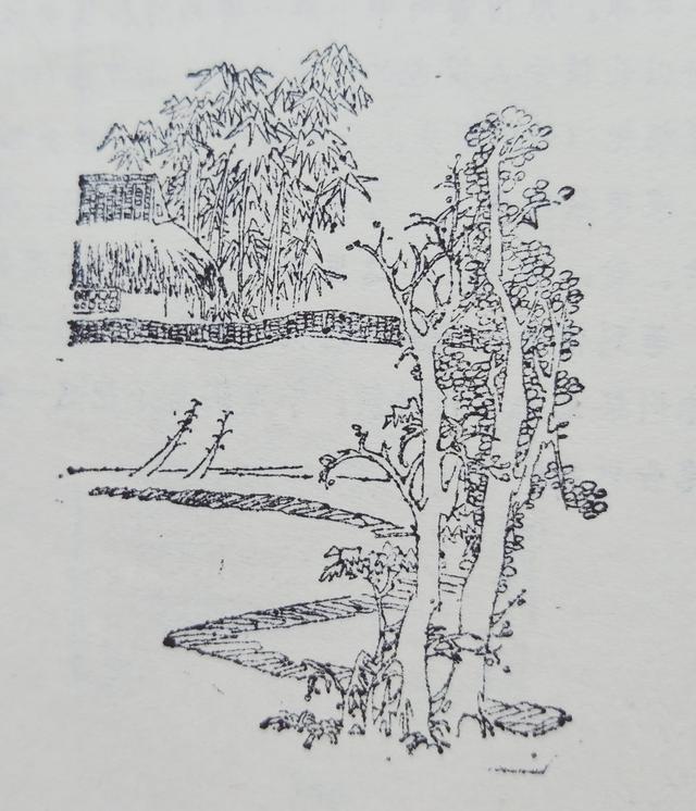 Fan Chengda, the poet of the Southern Song Dynasty, flourishes in four ...