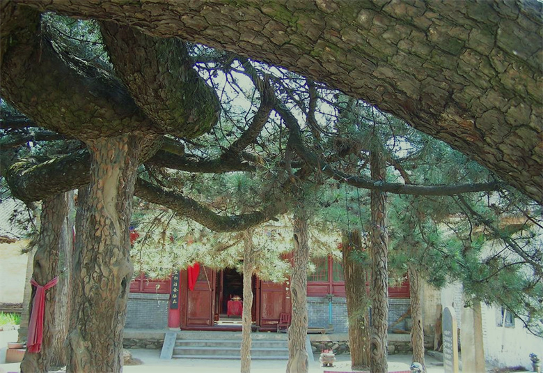 There are 9 tourist attractions in Shangzhou District, Shangluo City ...