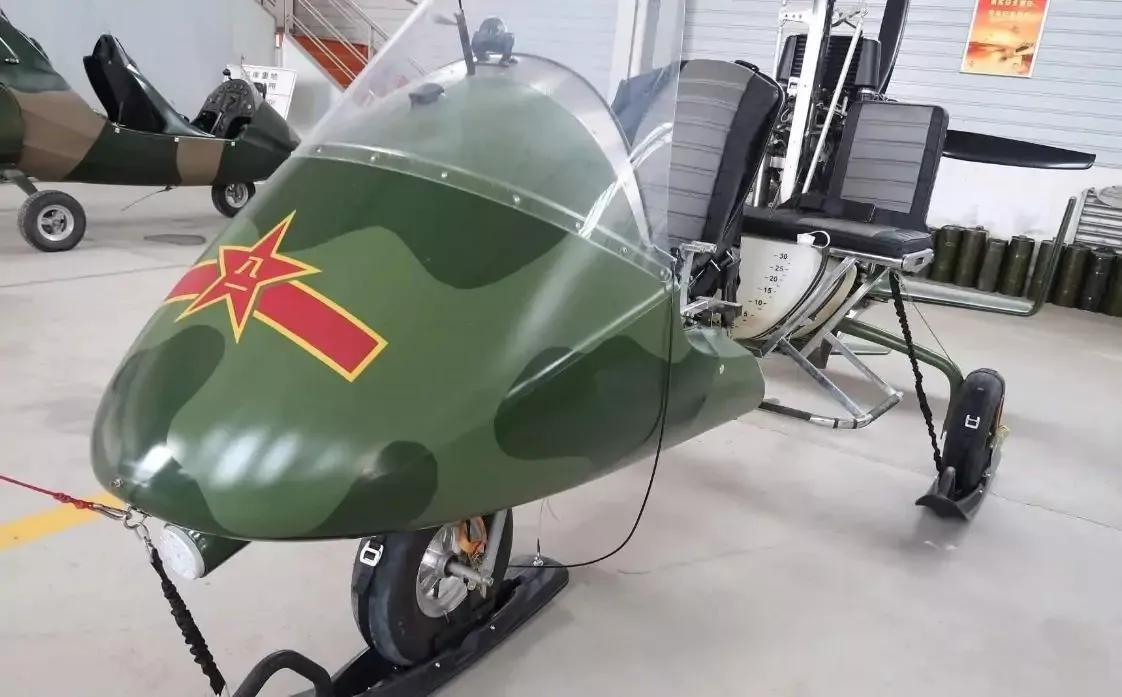 China's first helicopter hummingbird was born in Kunming, just like the ...