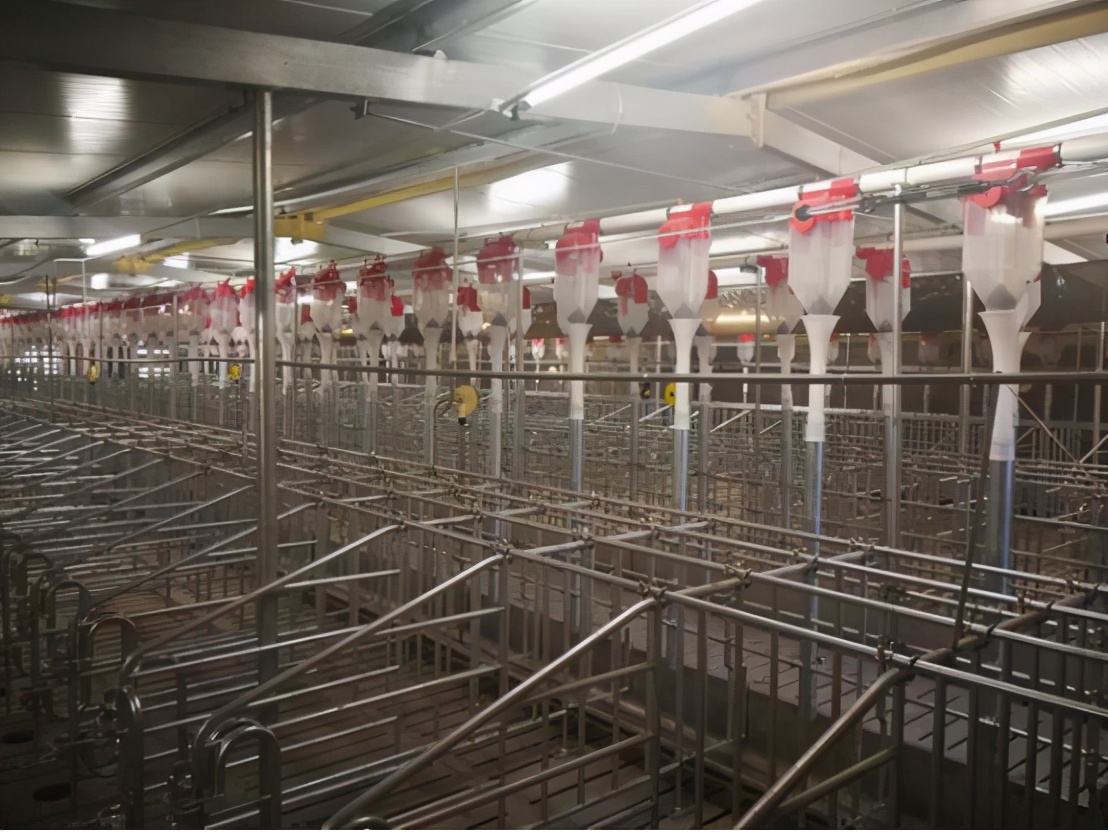 Qin Yinglin: The "new face" of the Forbes rich list, wealth is second ...