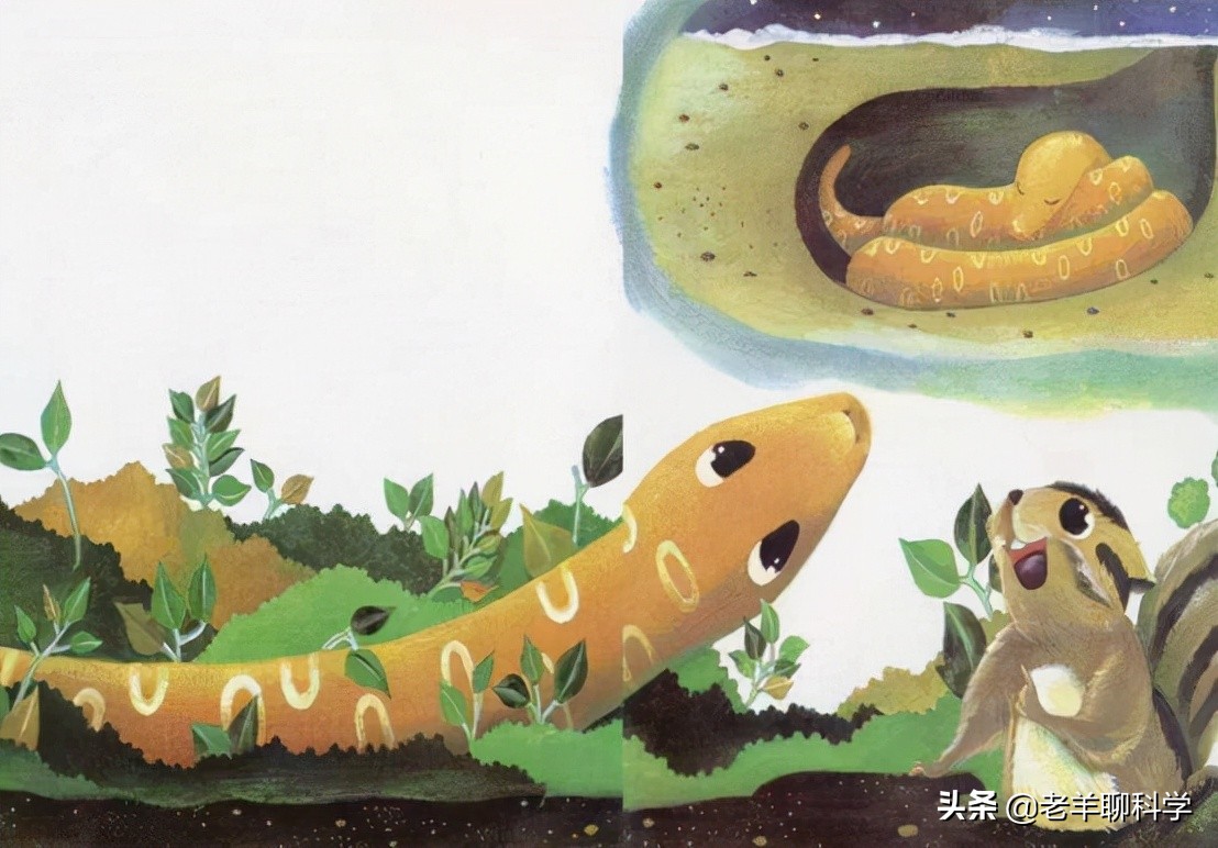 How vulnerable are hibernating snakes?Let the mouse bite but have no ...