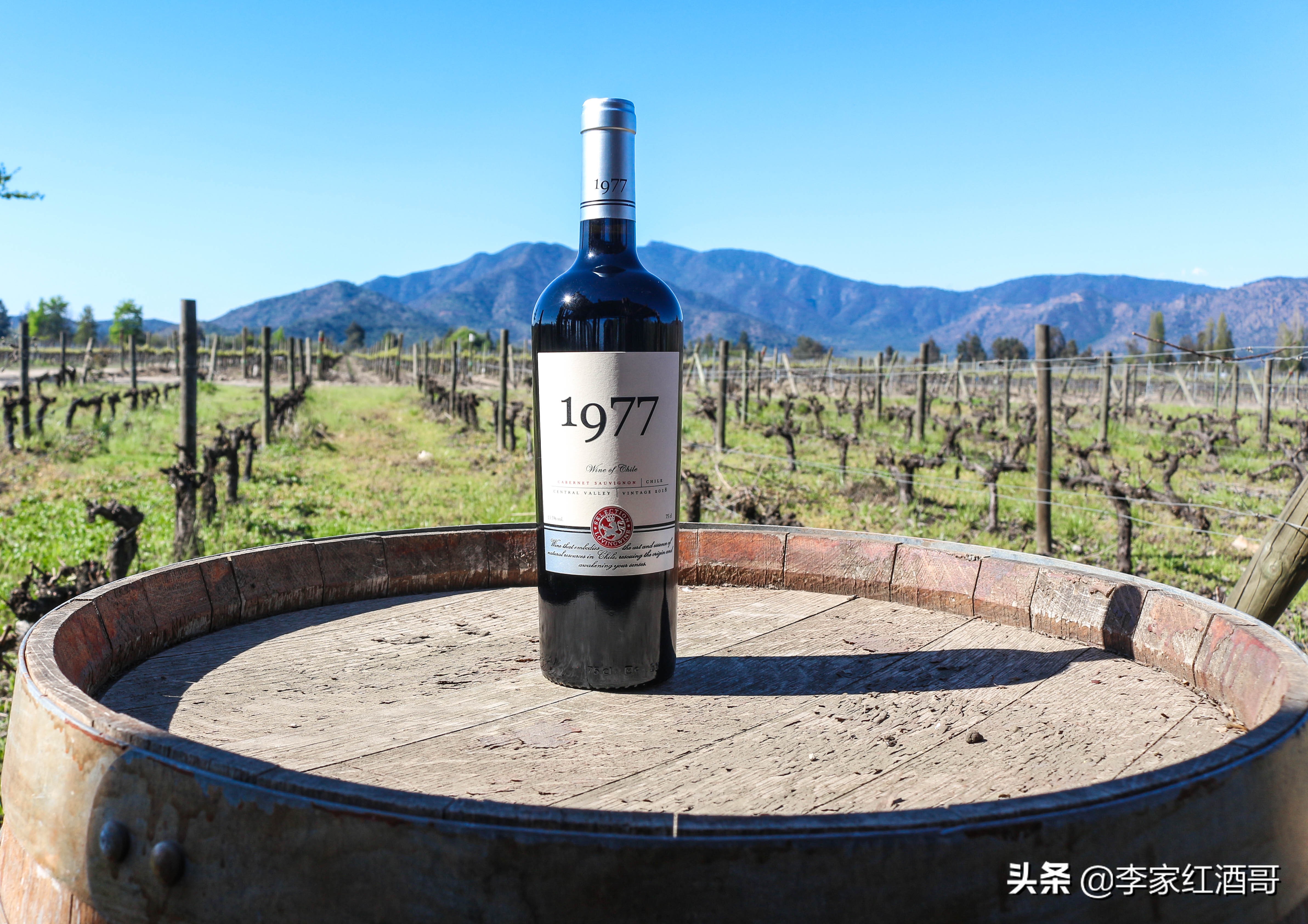 What is wine aftertaste? - iNEWS
