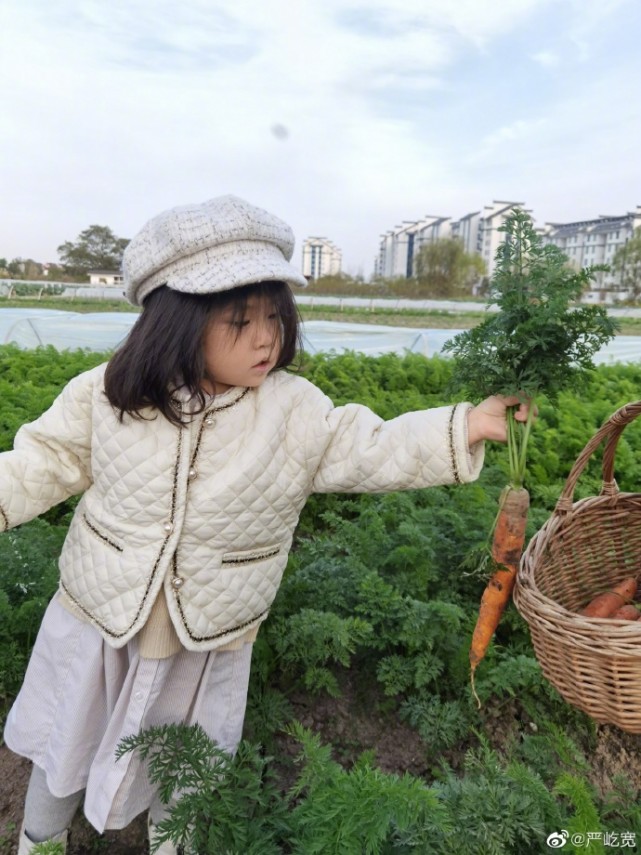 Yan Yi's broadband daughter's farm tour teaches her to cherish food ...
