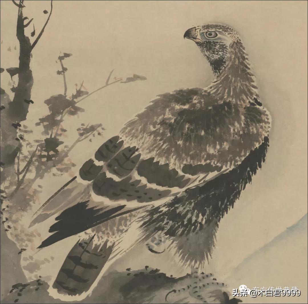 Ming. Appreciation of Lu Ji's "Eagle and Magpie" - iNEWS