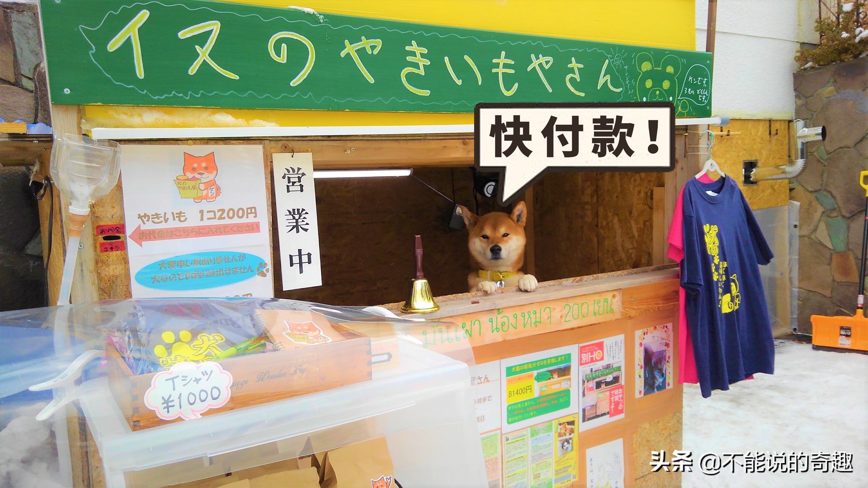 Consciously coin, the Japanese roasted sweet potato Shiba Inu shop is ...