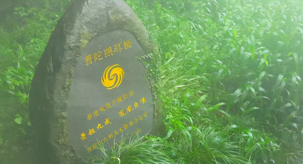 The lonely Earth's only son, Putuo Carpinus, was once a critically ...