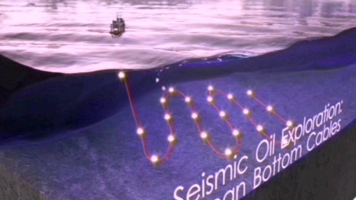 Huawei has done a great job!China and Europe are jointly laying ...