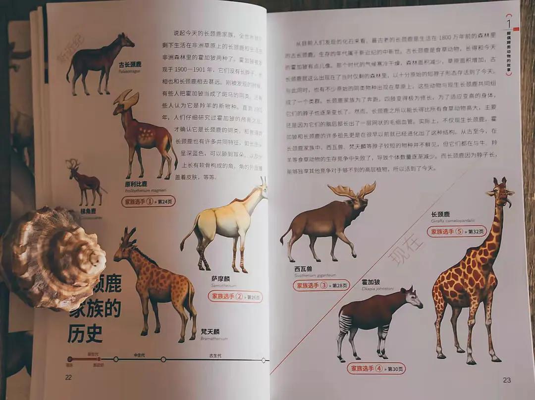 Variations on Animal Evolution - iNEWS