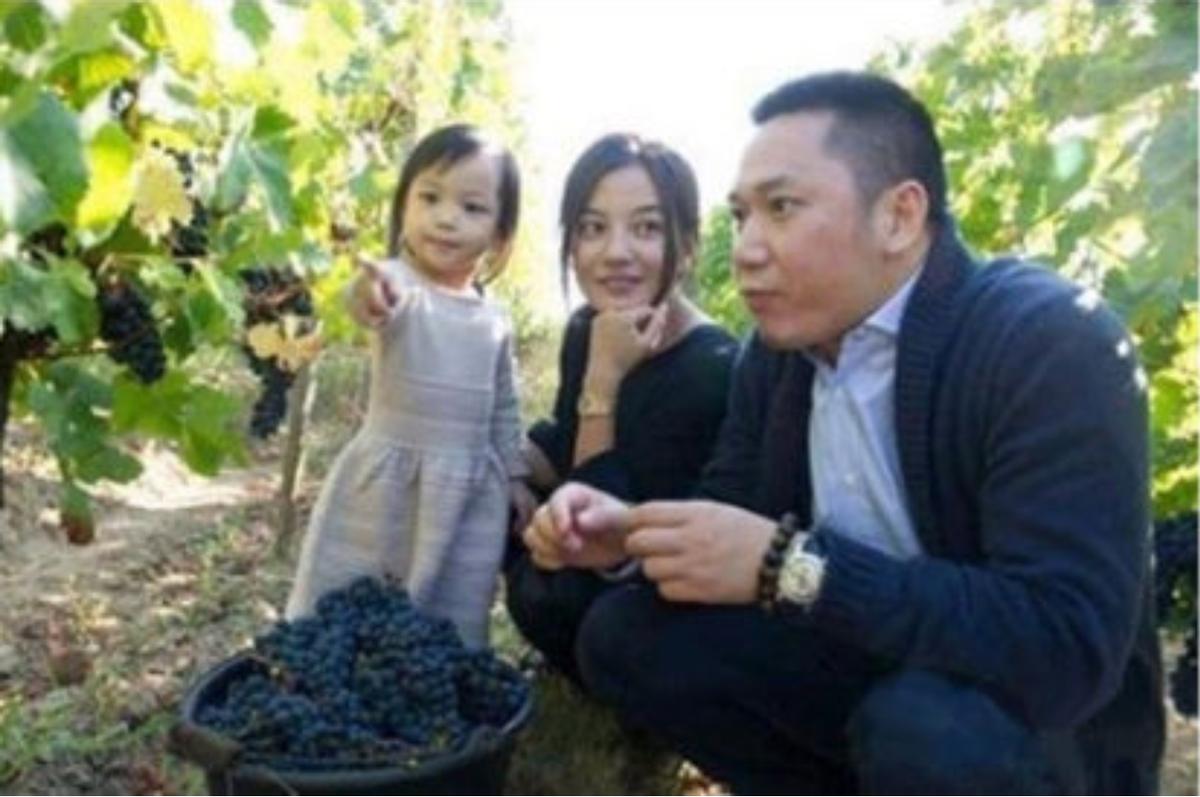 Zhao Wei had just finished taking wedding photos with Wang Liqin, so why turned around and ...