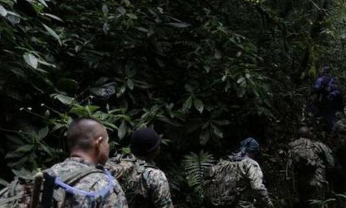 The disappearance of the Panamanian rainforest: 90 unexplainable photos ...