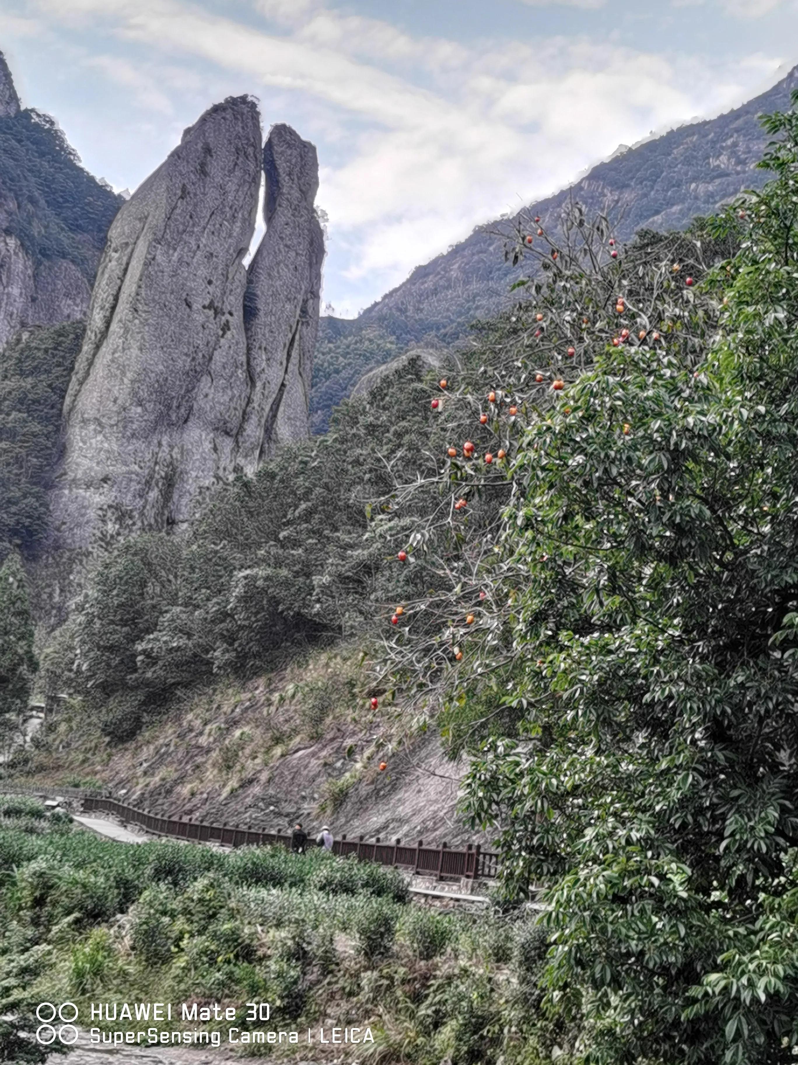 Wenzhou visits Yandang Mountain and Meiyutan - iNEWS
