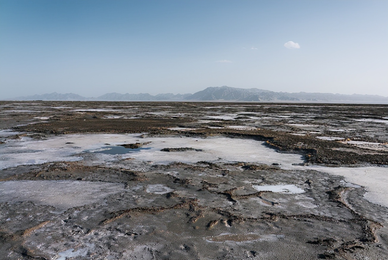 The Arctic permafrost is rapidly melting, and nematodes that have been ...