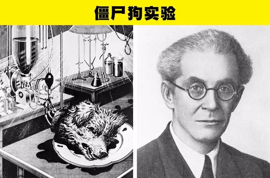 In the history of science, there have been too crazy experiments - iNEWS