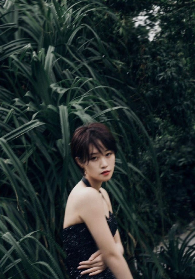 Fan Chengcheng, Lan Yingying's new drama is launched, the two are 10 ...