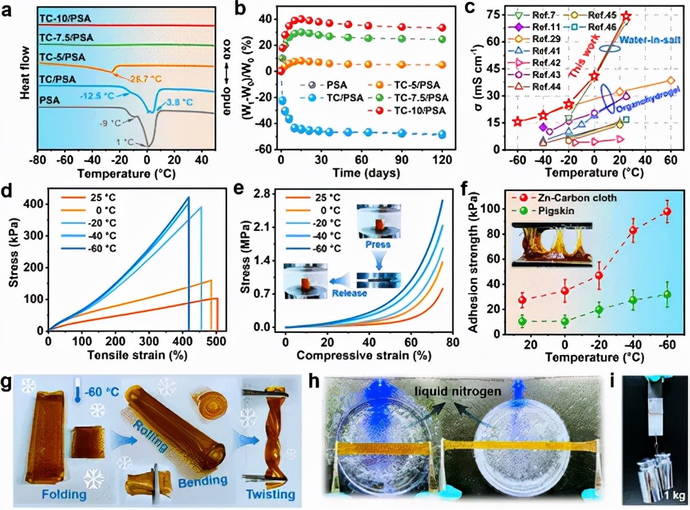 Low temperature adaptation/flexible zinc ion hybrid capacitor ...