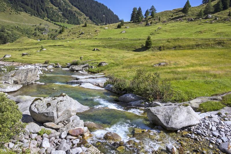 Country Garden founder Yang Guoqiang made a family history. Why did ...