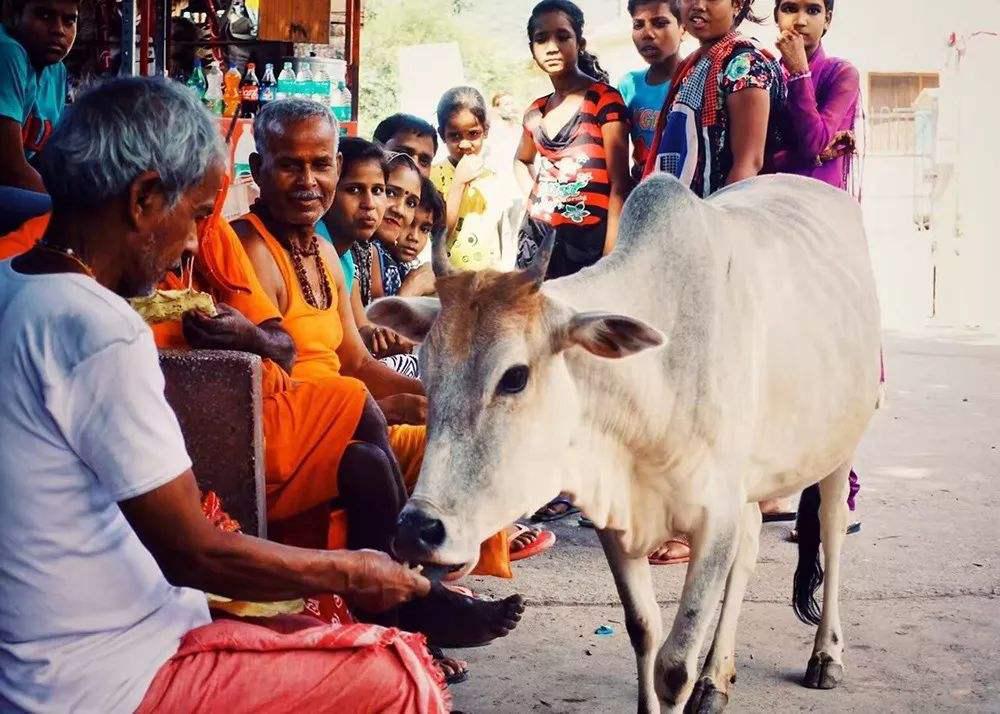 Indians: The bus leads China for 20 years, with cattle dung, sitting ...