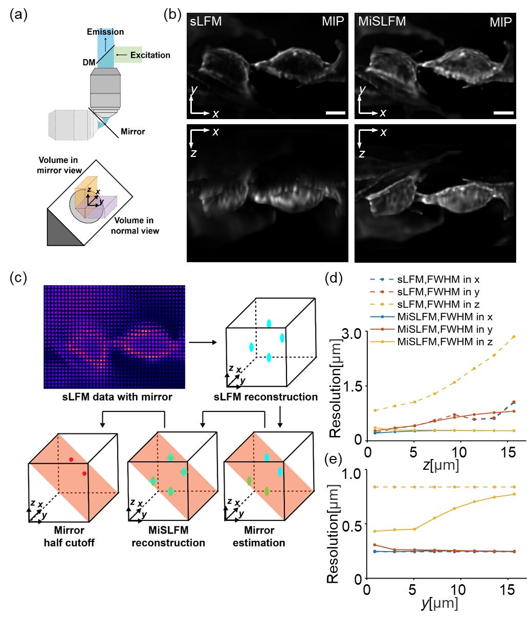 Mirror enhanced scanning light field microscope - iMedia