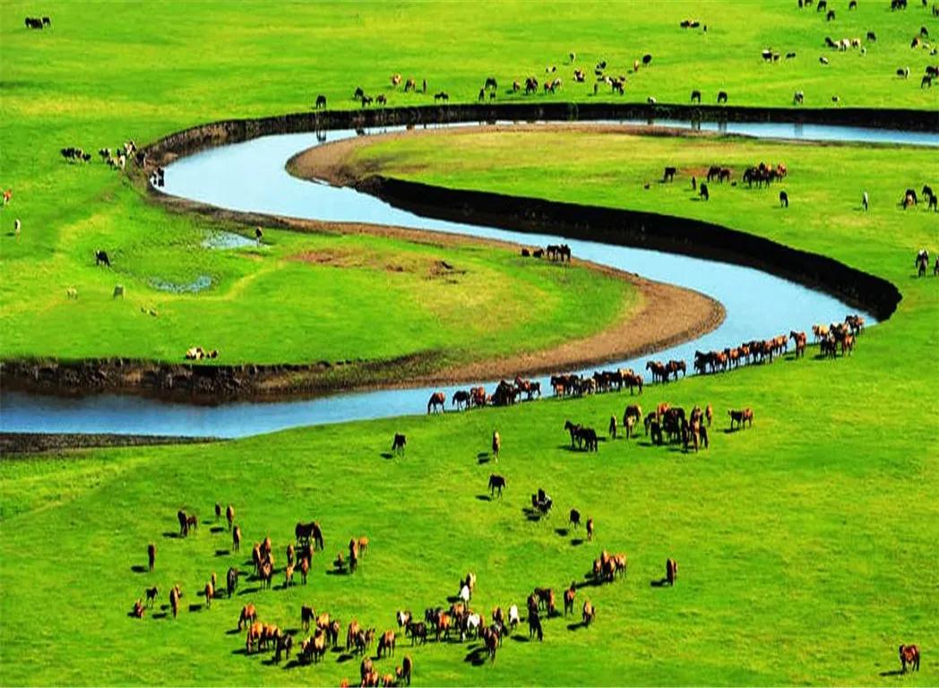 Qingfeng Original · Entering Hulunbuir - iNEWS