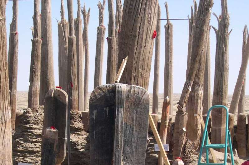 The surprising origin of mummies in the Tarim Basin - iMedia