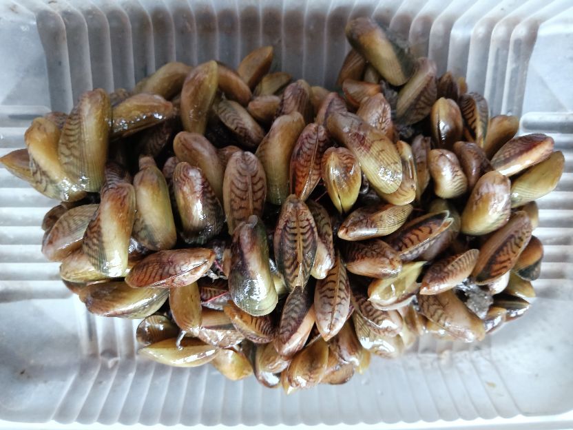 Fried thin shells, a seafood delicacy with Chaoshan characteristics ...