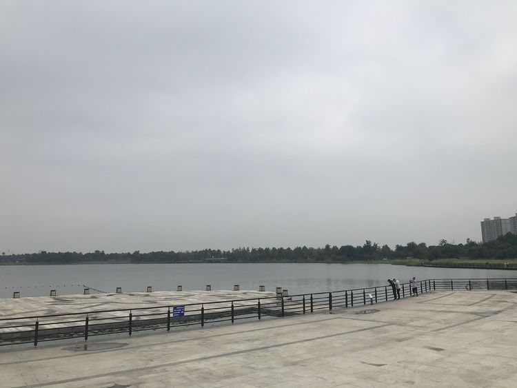 Phoenix Lake, Tongxiang - iNEWS