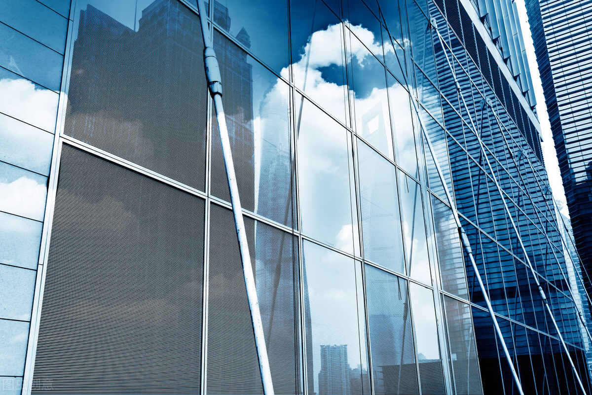 Why do birds hit glass? Hundreds of millions of birds die from hitting ...