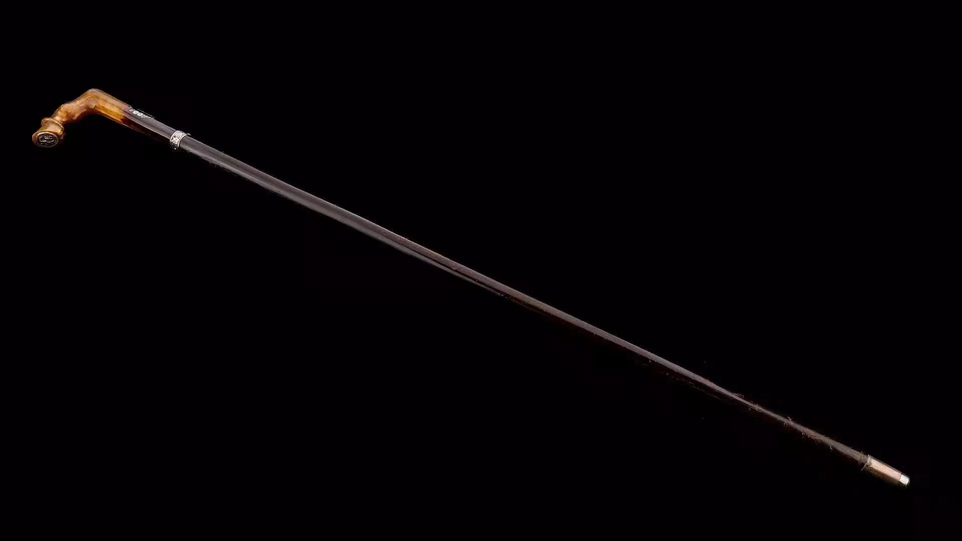 19th Century English Gentleman's Cane Sword - iNEWS