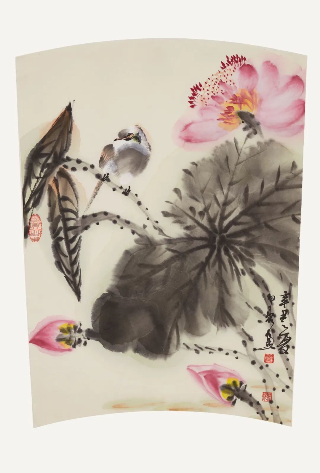 Appreciation of Bai Guang's Works - iNEWS