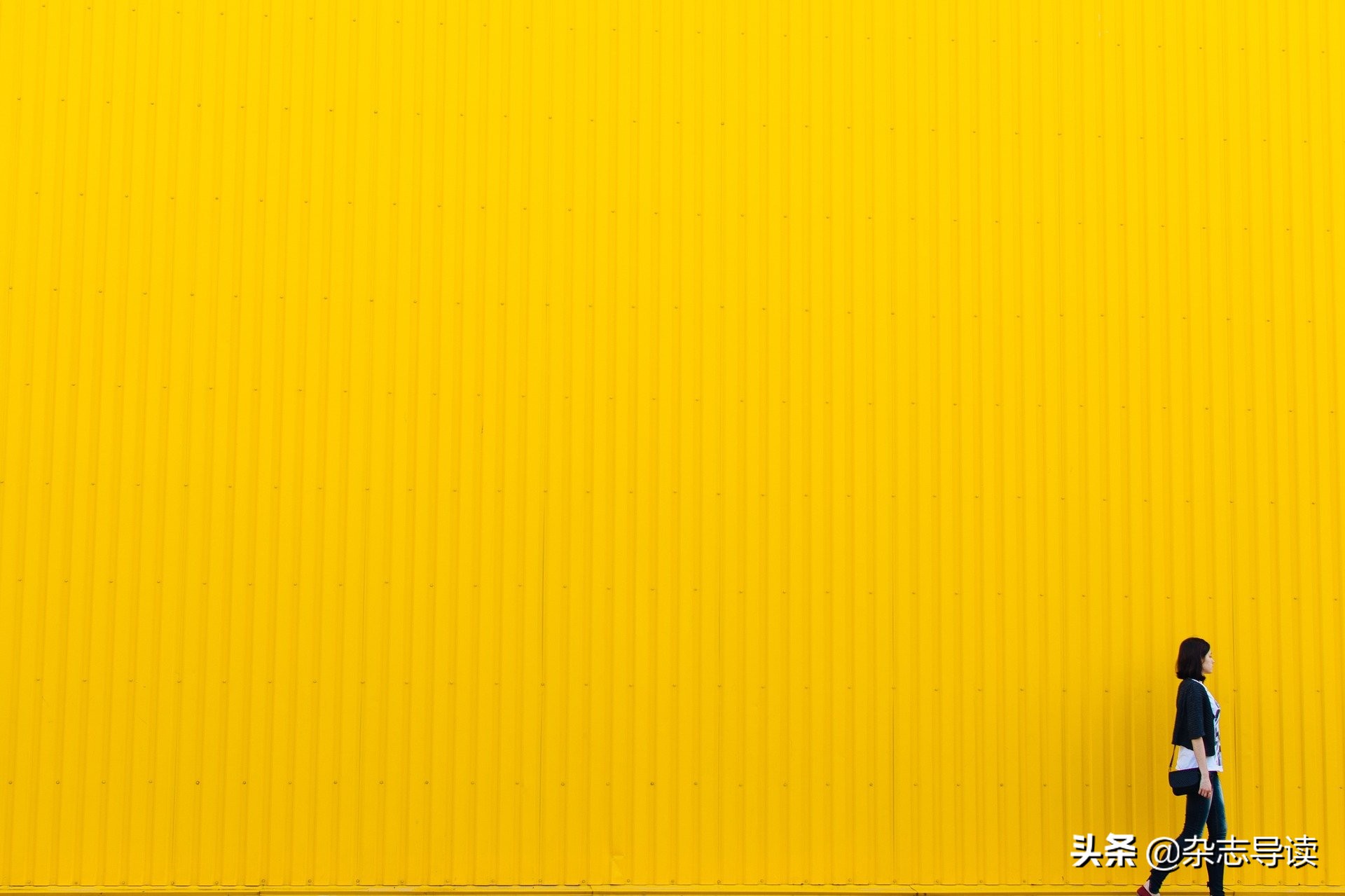 The rise of female directors - iNEWS