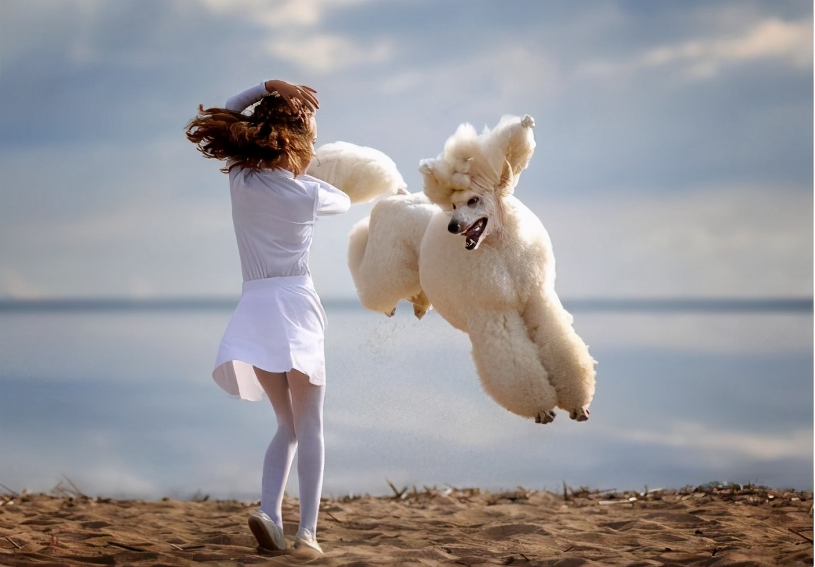 When the dog and the person danced in ballet, the picture was very ...