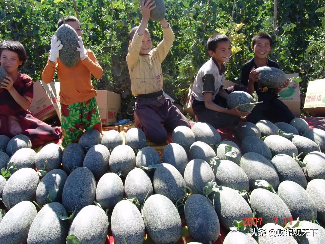 Subvert your perception of Xinjiang fruits () - iNEWS