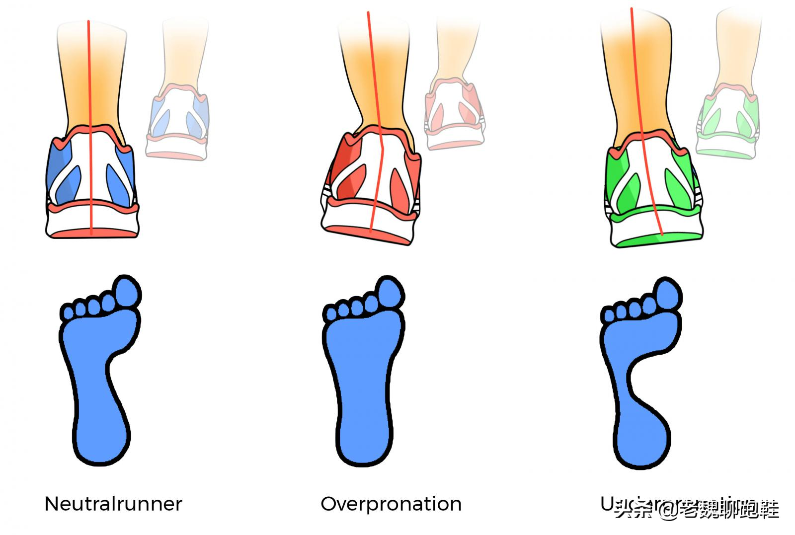 How to choose ASICS running shoes? Three types correspond to three ...