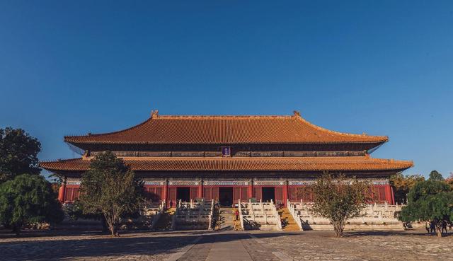 Golden Phoebe: Why is it called Golden Phoebe? - iNEWS