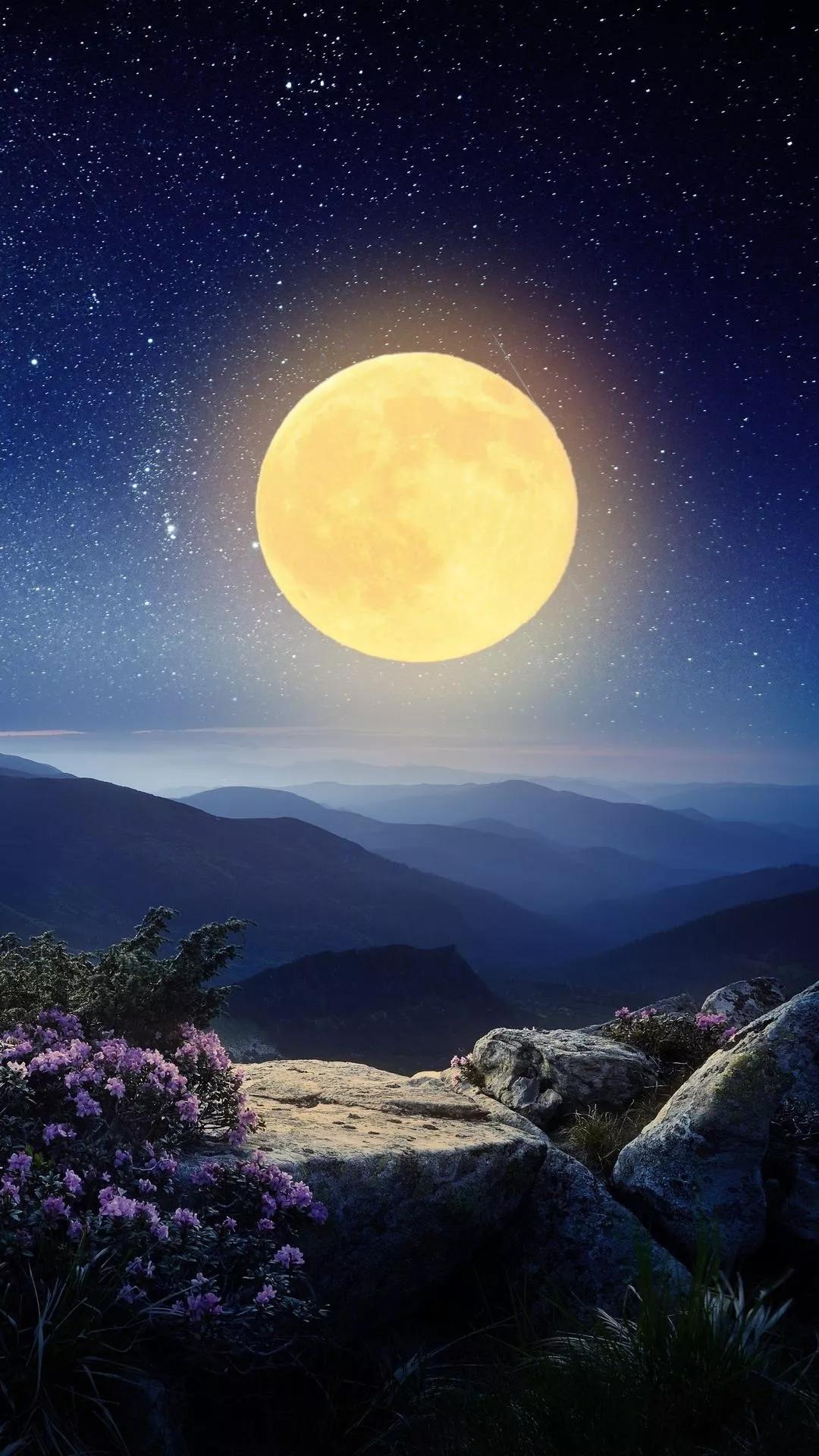 Appreciation and analysis of "Chunjiang Huayueye" and questioned "the ...