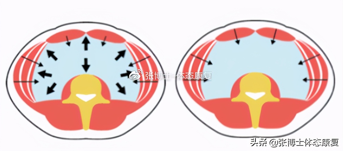 "Translation Sharing" The relationship between breathing and core ...