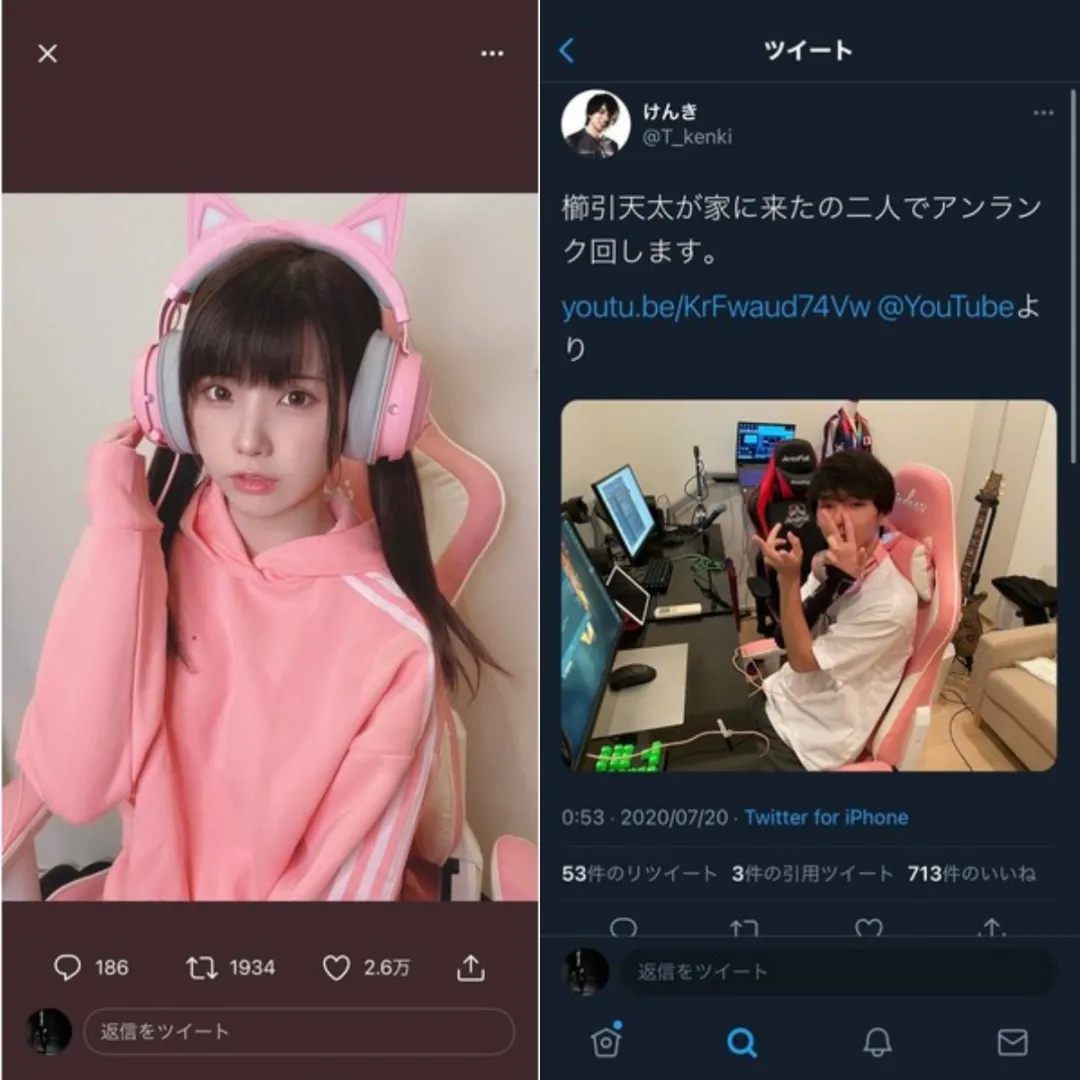 Japanese internet celebrity enako publicly loves a professional gamer ...