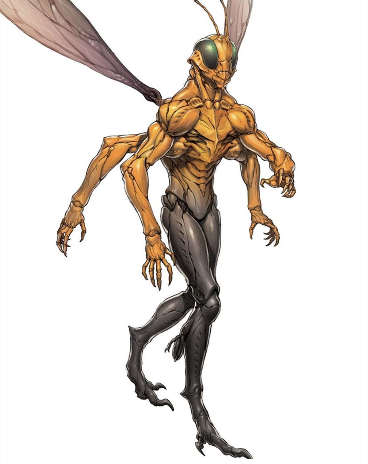 If insects can also evolve into the appearance of humans, without ...