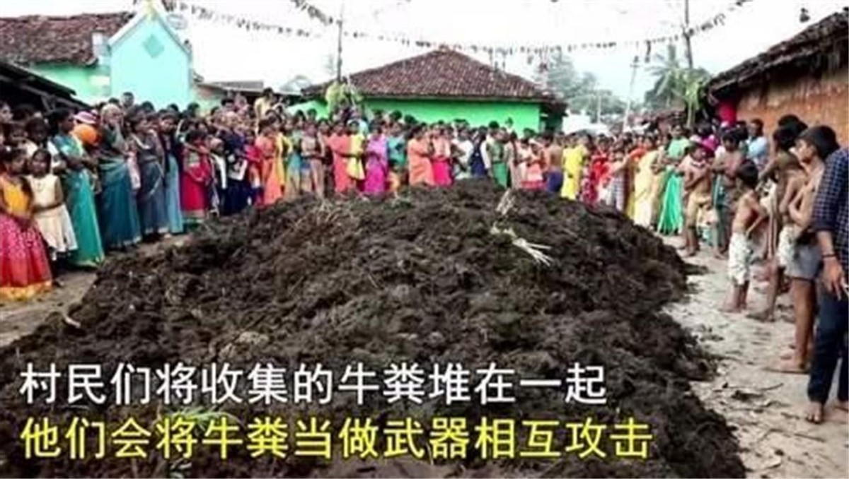 Throwing cow dung at each other at the wonderful Indian “dung-splashing ...