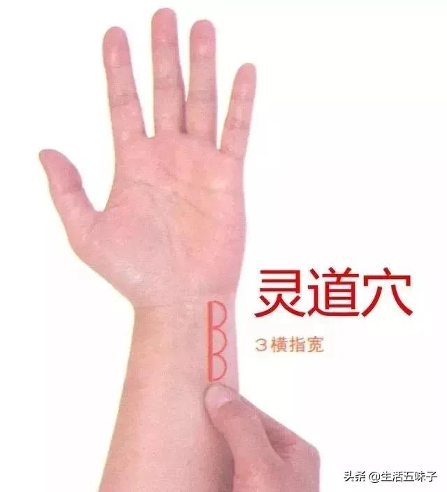 The "Acupoints" of the Five Shu Points of the Five Zang Organs - iNEWS